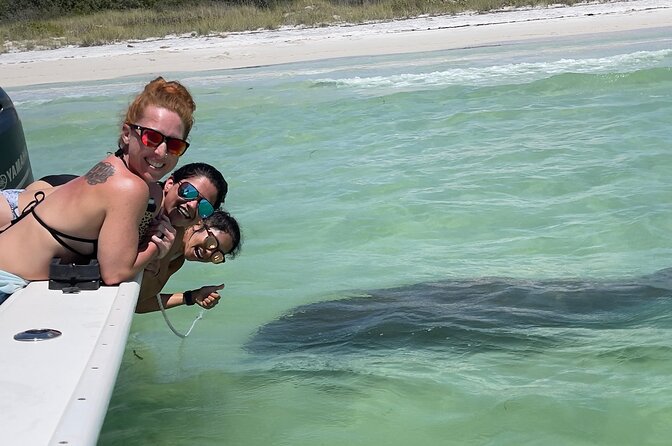Enticement Charters Snorkel, Shelling in St. Petersburg, FL 3 Hrs - Key Points