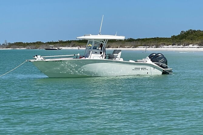 Enticement Charters Snorkel, Shelling in St. Petersburg, FL 3 Hrs - Final Thoughts