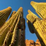 Epic Camelback Mountain Guided Hiking Adventure in Phoenix, Arizona - What Travelers Are Saying