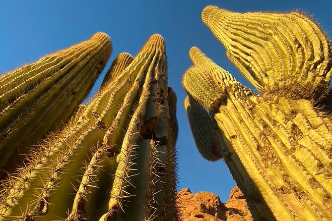 Epic Camelback Mountain Guided Hiking Adventure in Phoenix, Arizona - What Travelers Are Saying