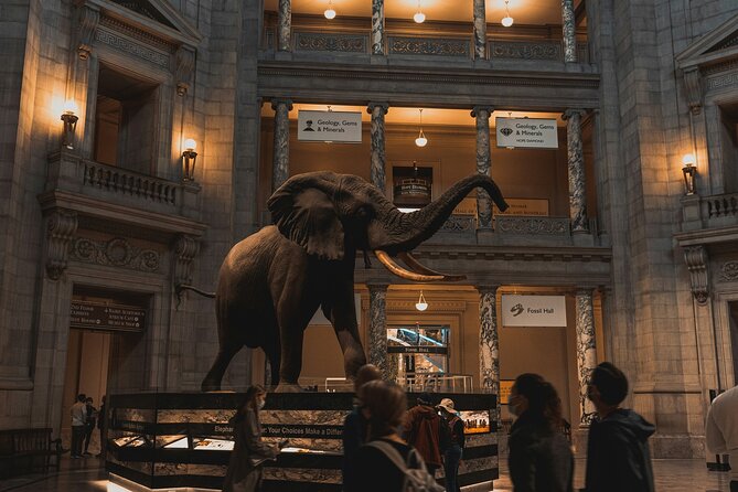 Essential Smithsonian Tour with NMAAHC Timed Entry - An In-Depth Look at the Tour Experience