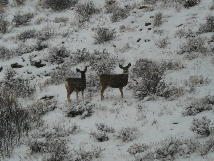 Estes Park: Bear Lake Corridor Tour - FAQ