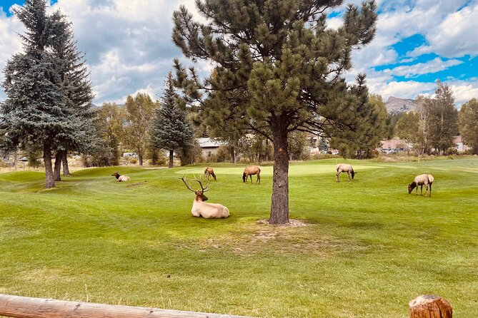 Estes Park Family e-Bike Tour - FAQs