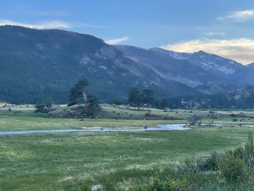Estes Park: Guided Sunset Elk Mating Ritual Tour - Exploring the Itinerary and Experience