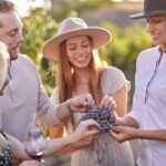Europa Village Winery Tour including 8 Tastings & 3 Food Pairings - What Sets This Tour Apart