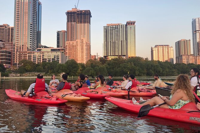Evening Bat Watching Kayak Tour - Key Points