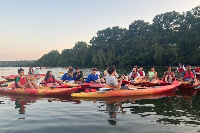 Evening Bat Watching Kayak Tour - A Closer Look at the Austin Bat Watching Kayak Tour
