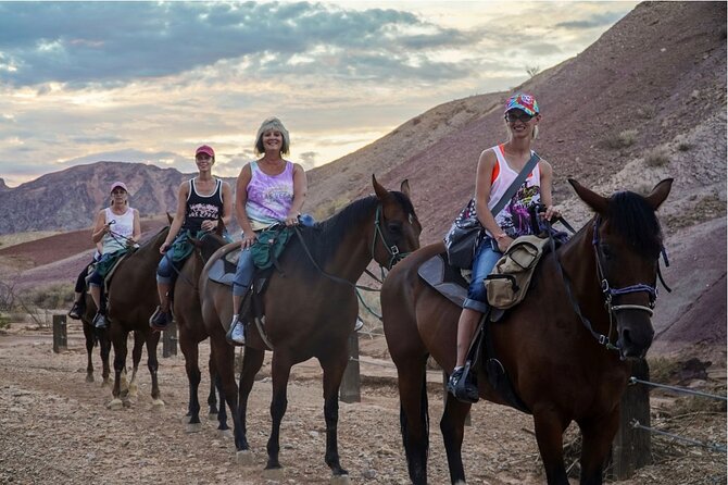 Evening Horseback Ride in Las Vegas - Practical Details and Considerations