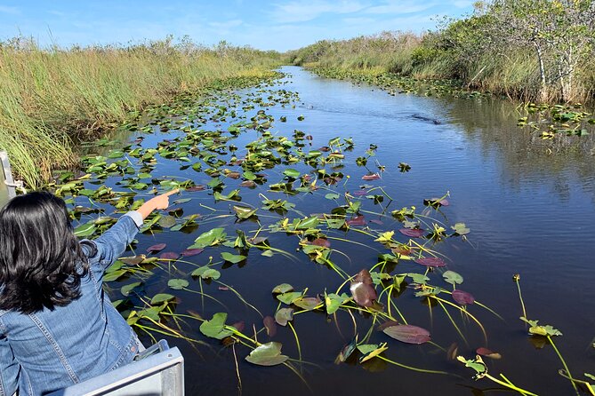 Everglades Airboat, Wildlife Show and free Photo - Who Is This Tour Best For?