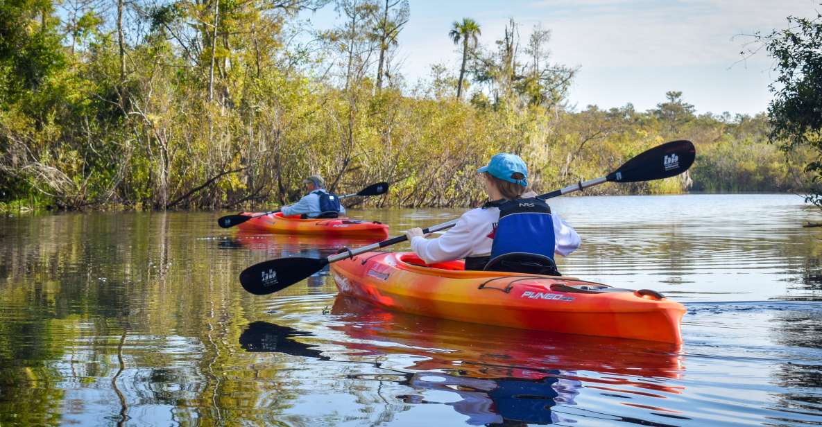 Everglades City: Guided Kayaking Tour of the Wetlands - Exploring the Wetlands: What to Expect from the Tour