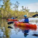 Everglades City: Guided Kayaking Tour of the Wetlands - The Itinerary in Depth