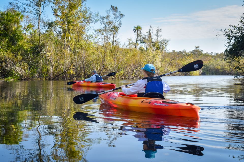 Everglades City: Guided Kayaking Tour of the Wetlands - The Itinerary in Depth