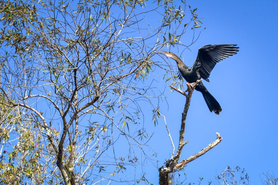 Everglades City: Guided Kayaking Tour of the Wetlands - Final Thoughts: Is This Tour Right for You?