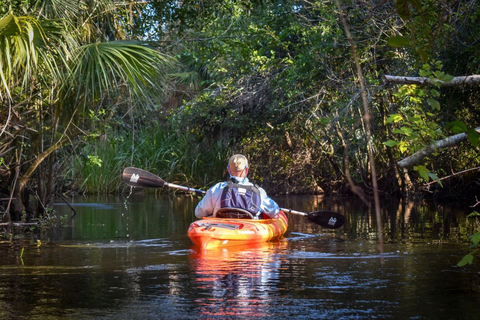 Everglades City: Guided Kayaking Tour with and Airboat Ride - Introduction: What to Expect from This Everglades Experience
