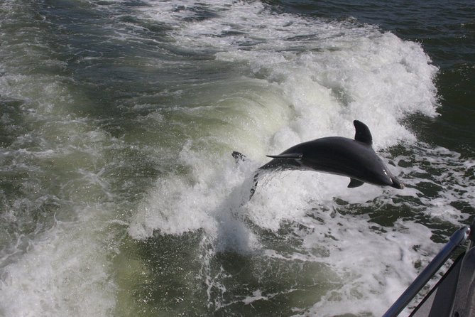 Everglades Day Safari from Fort Myers/Naples Area - What the Reviews Tell Us