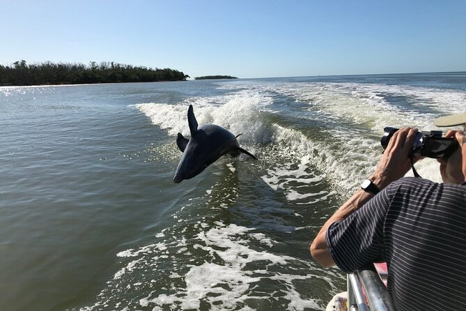 Everglades Day Safari from Ft Lauderdale - Who Will Love This Tour?