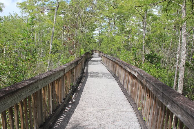 Everglades Day Safari from Miami - Analyzing the Price: Is $225 Worth It?