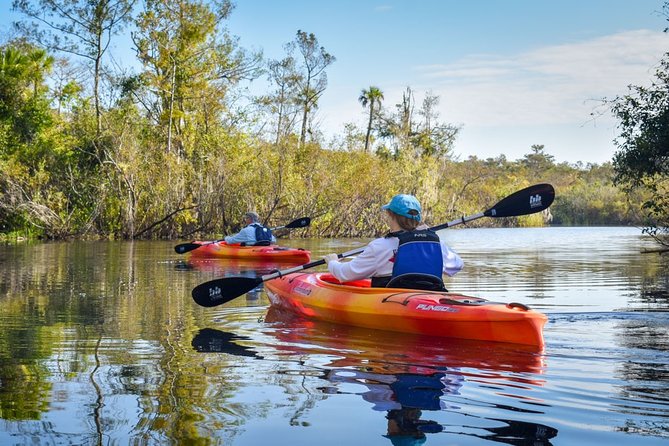 Everglades Guided Kayak Tour - An In-Depth Look at the Everglades Guided Kayak Tour