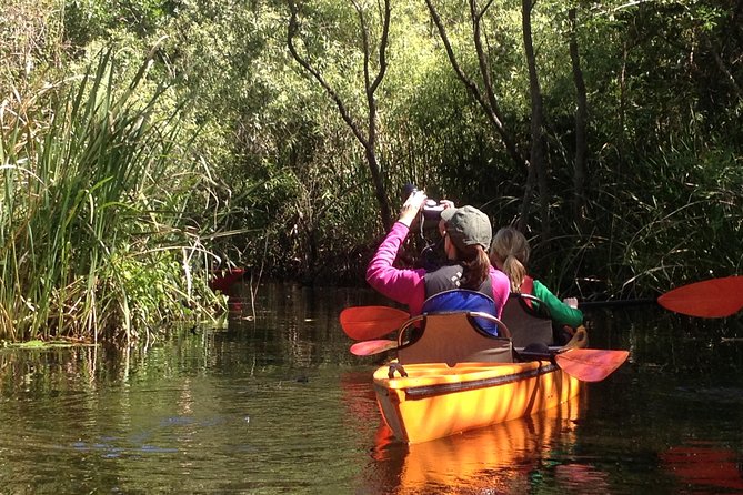 Everglades Kayak Safari Adventure Through Mangrove Tunnels - Why This Tour Stands Out