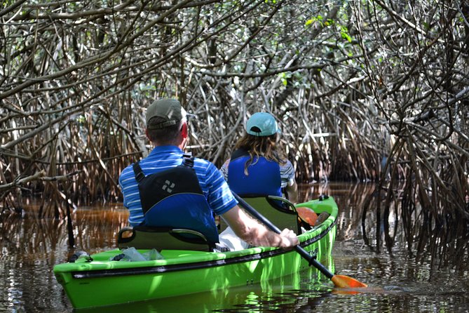 Everglades Kayak Safari Adventure Through Mangrove Tunnels - Pricing and Value for Money