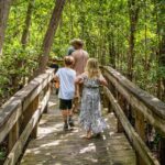 Everglades: Mangrove, Grassland Airboat Tours, & Boardwalk - Wildlife & Guide Insights