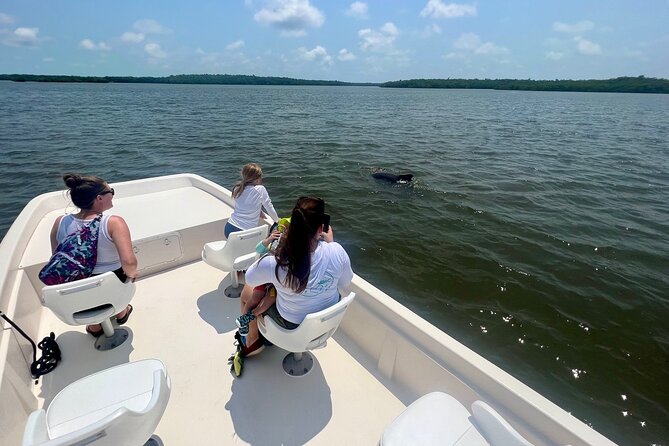 Everglades Mangrove Wilderness Boat Tour - A Detailed Look at the Everglades Mangrove Wilderness Boat Tour