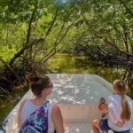 Everglades Mangrove Wilderness Boat Tour - Who Will Love This Tour?