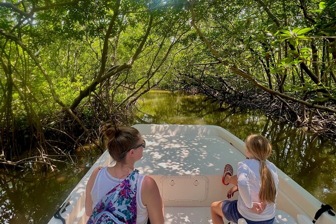 Everglades Mangrove Wilderness Boat Tour - Who Will Love This Tour?