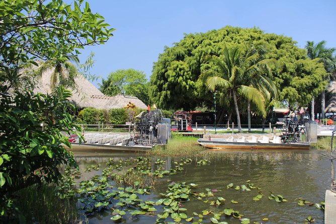 Everglades & Miami city tour with experienced guide in small group - An In-Depth Look at the Tour Experience