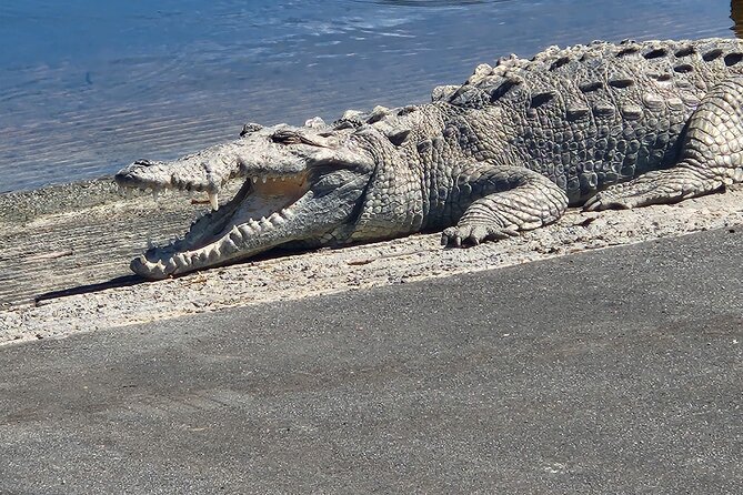 Everglades National Park: 3 Hikes + 90 minute Boat Tour + Lunch - Starting Point and Transportation
