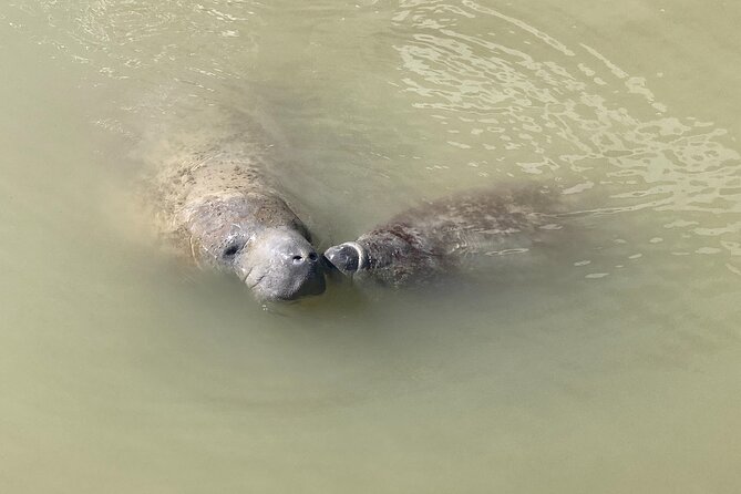 Everglades National Park: 3 Hikes + 90 minute Boat Tour + Lunch - Overall Experience and Value