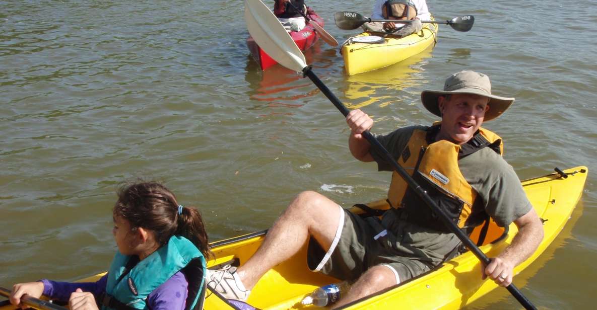 Everglades National Park 3-Hour Kayak Eco Tour - An In-Depth Look at the Everglades Kayak Eco Tour