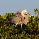 Everglades National Park 3-Hour Kayak Eco Tour - Why This Tour Is a Great Choice