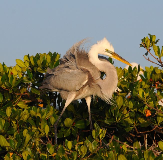 Everglades National Park 3-Hour Kayak Eco Tour - Why This Tour Is a Great Choice