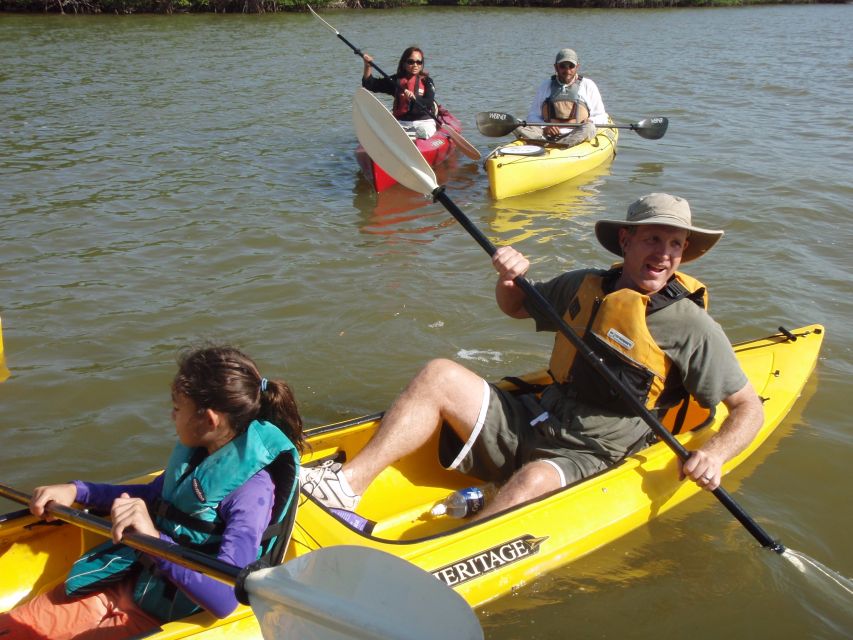 Everglades National Park 3-Hour Kayak Eco Tour - FAQ