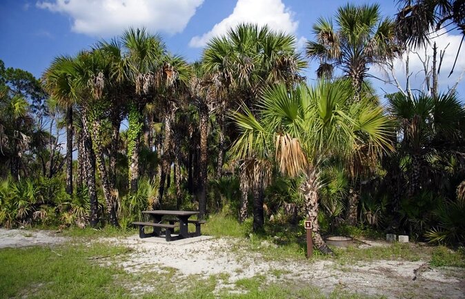 Everglades National Park Biologist Led Adventure: Cruise, Hike + Airboat - What Travelers Say: Authentic Insights