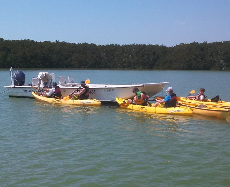 Everglades National Park: Boat Assisted Kayak Eco Tour - Discover the Unique Experience in Florida’s Everglades
