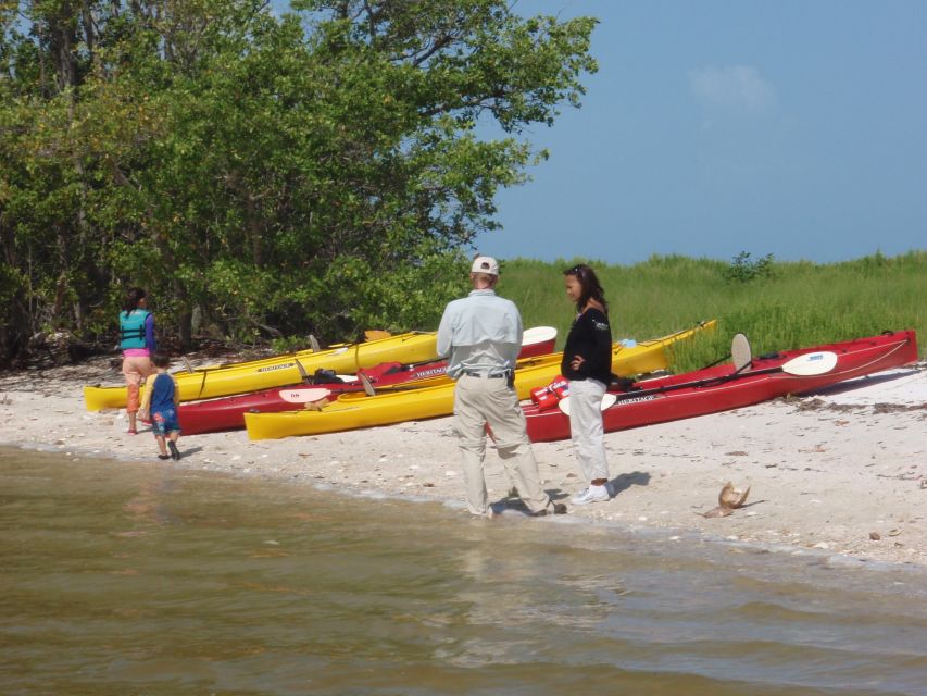 Everglades National Park: Boat Assisted Kayak Eco Tour - Who Will Love This Tour?