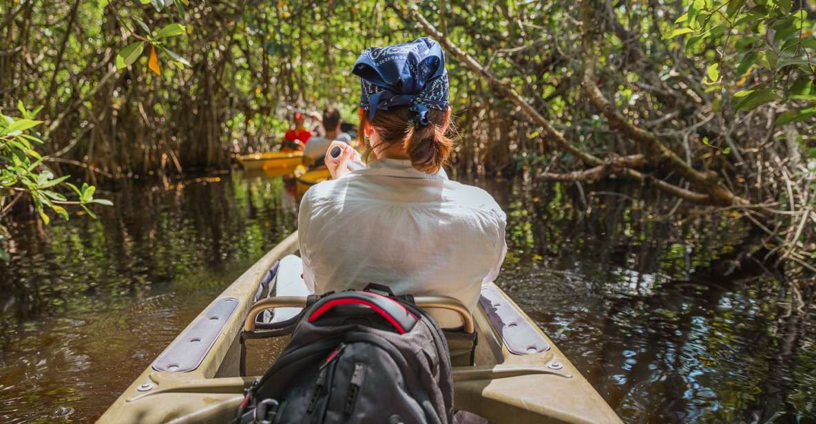 Everglades National Park: Mangrove Tunnel Kayak Eco-Tour - Key Points
