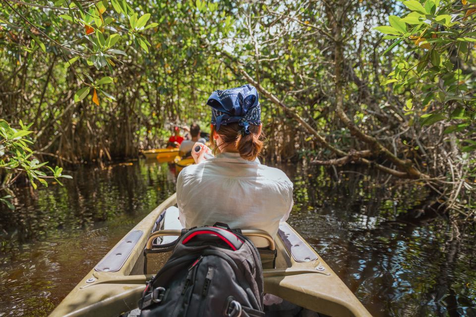 Everglades National Park: Mangrove Tunnel Kayak Eco-Tour - A Closer Look at the Everglades Kayak Tour
