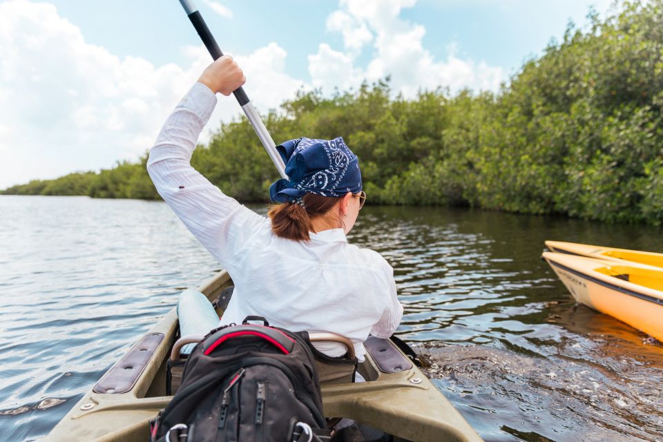 Everglades National Park: Mangrove Tunnel Kayak Eco-Tour - FAQs