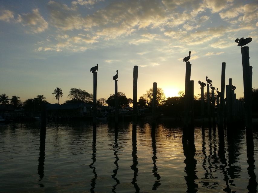 Everglades National Park: Motorboat Eco Tour - Why This Tour Works