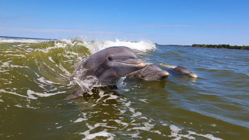 Everglades National Park: Motorboat Eco Tour - FAQ