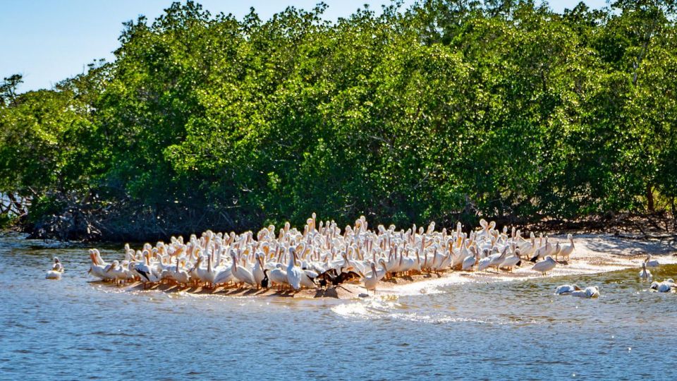 Everglades National Park: Pontoon Boat Tour & Boardwalk - FAQs