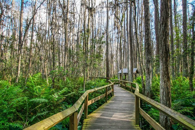 Everglades National Park Self Guided Driving Audio Tour - An In-Depth Look at the Itinerary