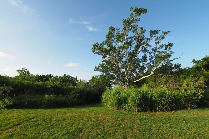 Everglades National Park Self Guided Driving Audio Tour - FAQ