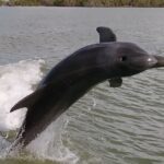 Everglades National Park Small Group Guided Boating and Walking Expedition - Who Is This Tour Best For?