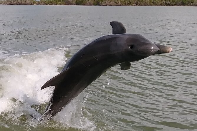 Everglades National Park Small Group Guided Boating and Walking Expedition - Who Is This Tour Best For?