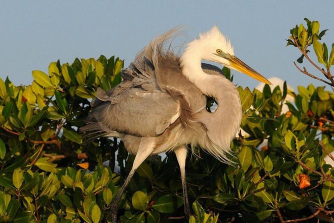 Everglades National Park Small Group Guided Boating & Walking Tour Expedition - How Does This Tour Stack Up for Value?