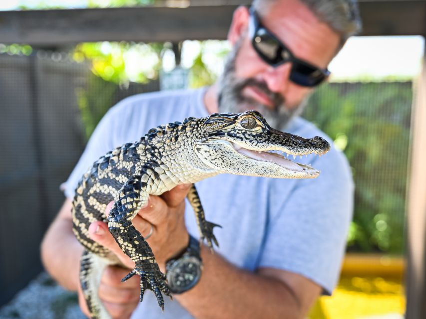 Everglades: Sawgrass Park Day Time Airboat Tour & Exhibits - Discovering the Everglades: What to Expect